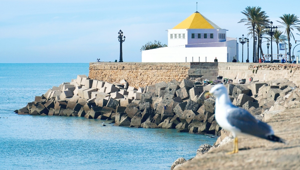 Una Semana Inolvidable en Cádiz: Guía Completa para Tu Viaje